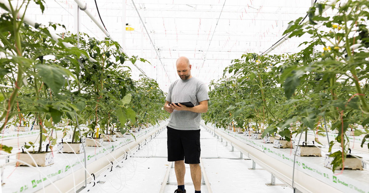 The road to a data-driven horticulture | Batenburg Techniek