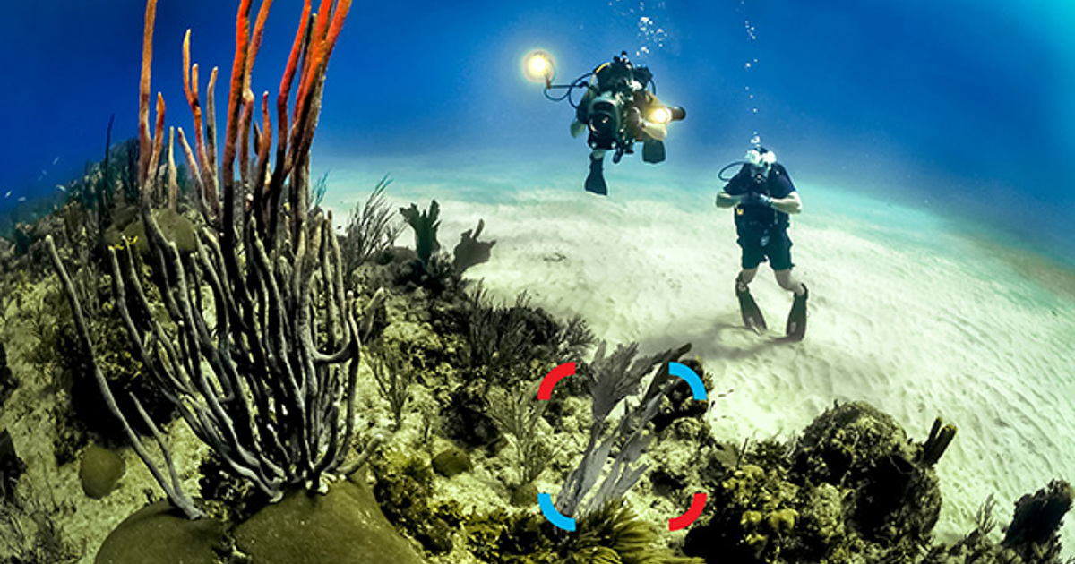 Batenburg Industriële Elektronica assists in surveying the seabed ...